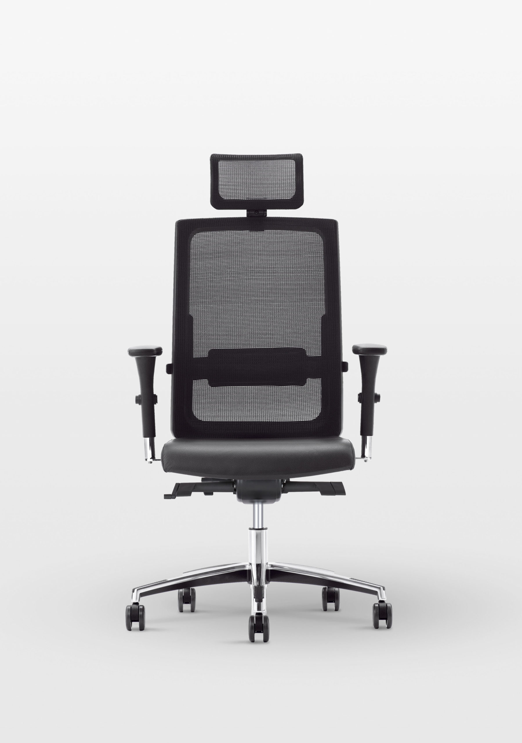 Mojito - DB Concept Space