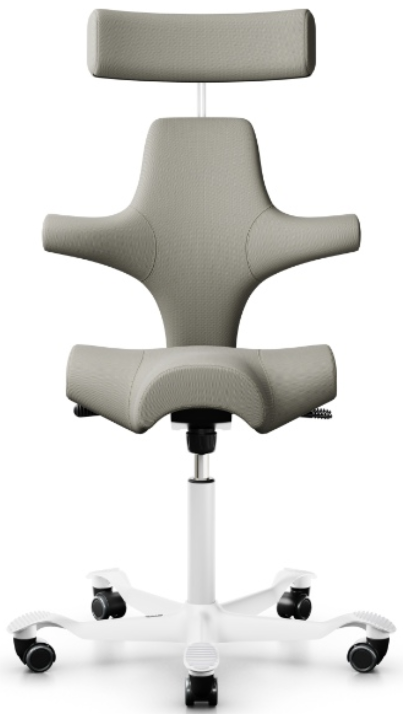 Hag CAPISCO - DB Concept Space