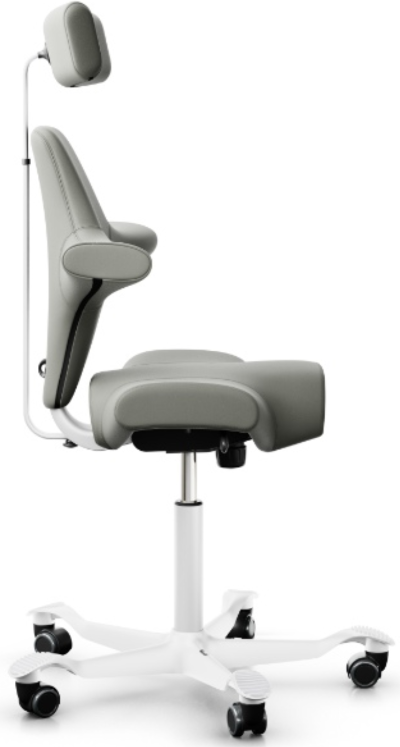 Hag CAPISCO - DB Concept Space