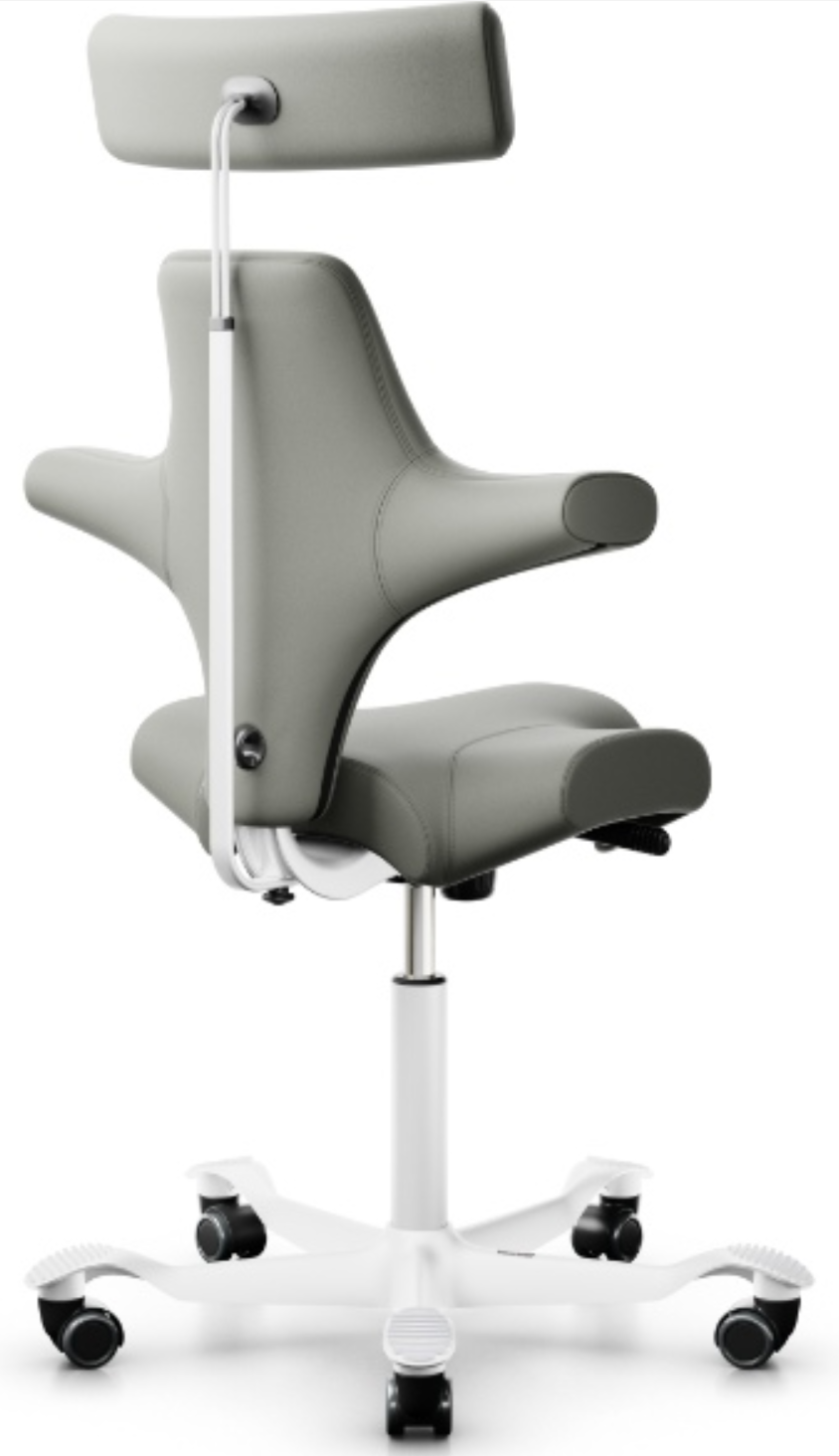 Hag CAPISCO - DB Concept Space