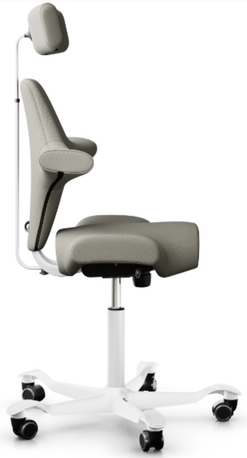 Hag CAPISCO - DB Concept Space