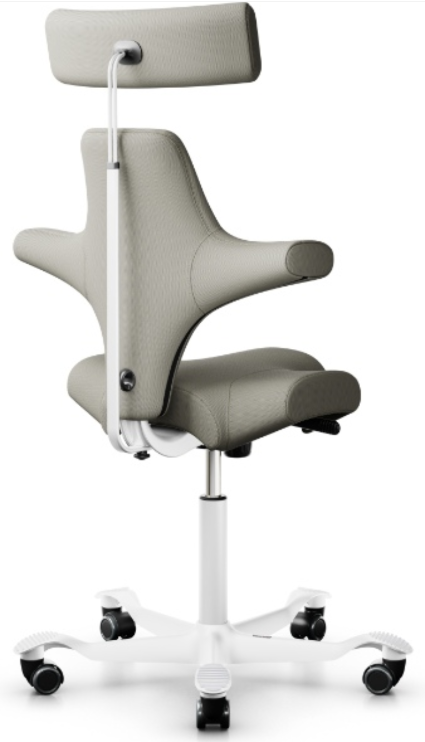 Hag CAPISCO - DB Concept Space