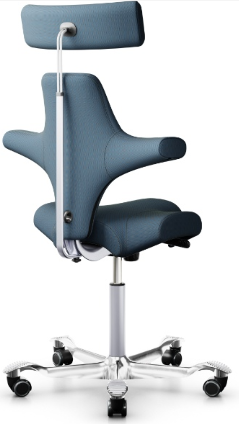 Hag CAPISCO - DB Concept Space